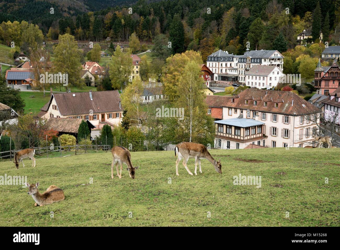 La France, Bas Rhin, Le Hohwald, le centre du village de la Deer Park ...