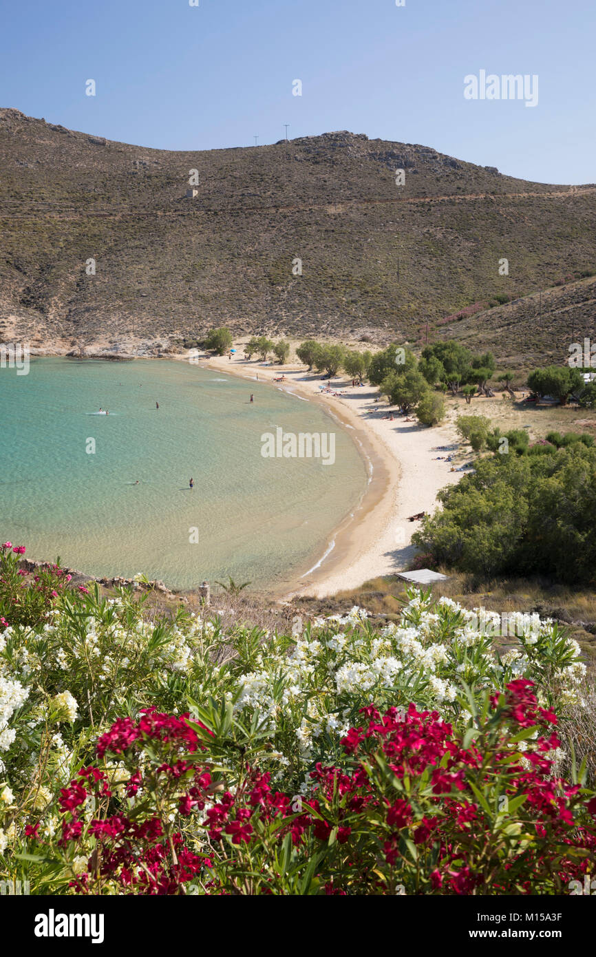 Vue sur la plage de Psili Ammos de lauriers-roses sur la côte est de l ...