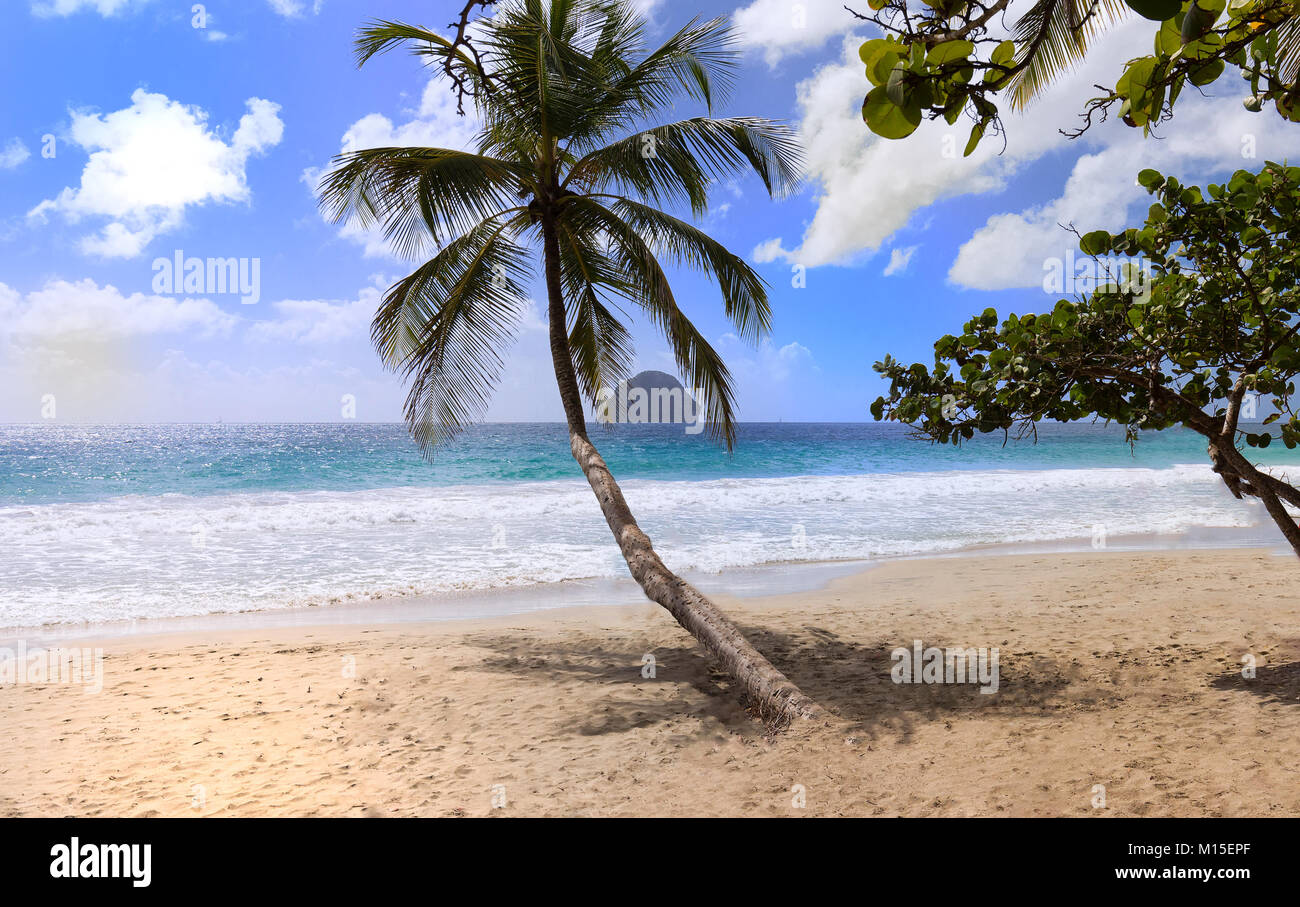 Le rocher du Diamant et plage des Caraïbes , la Martinique Photo Stock ...