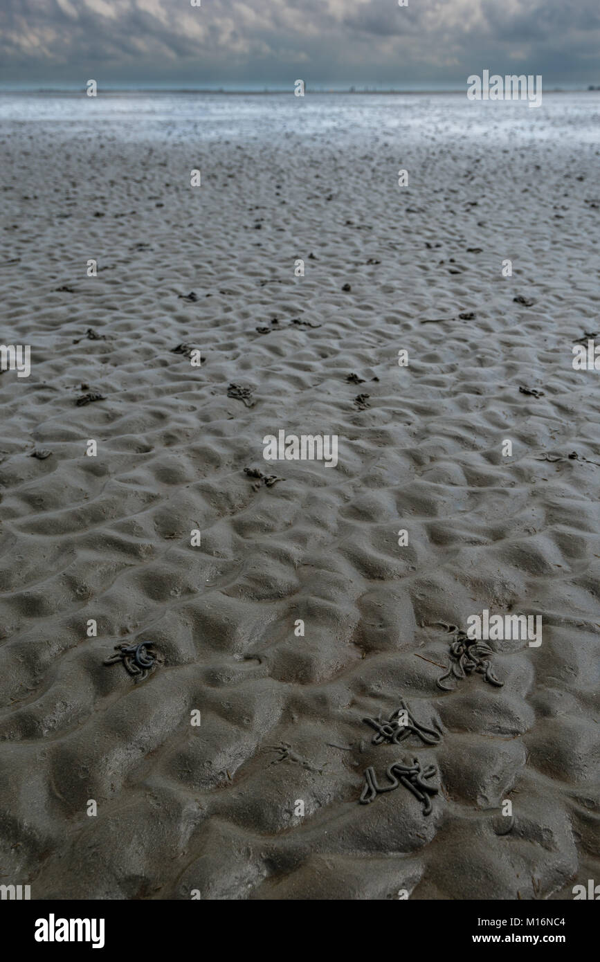 La mer des Wadden est une zone intertidale dans la partie sud-est de la ...