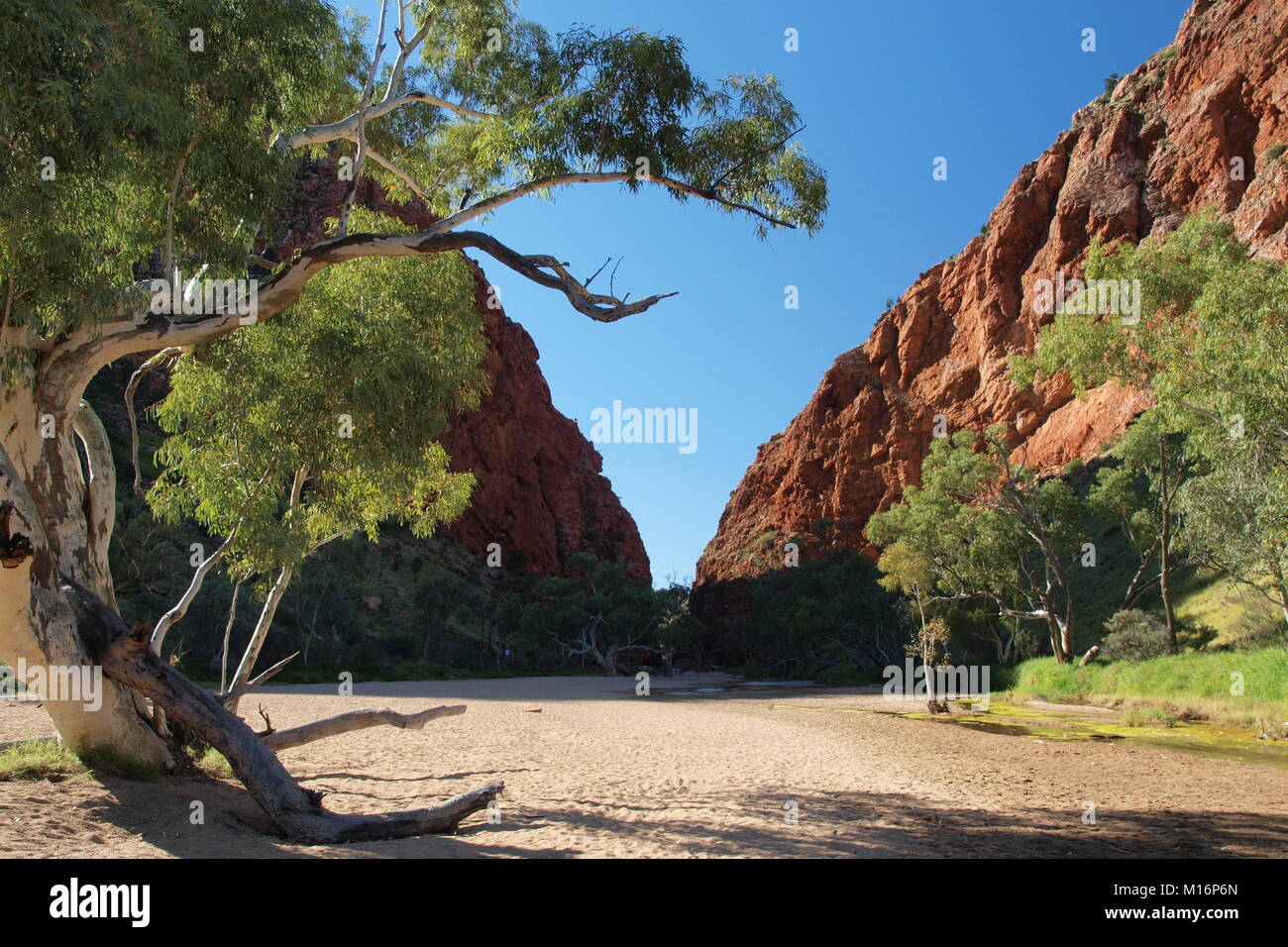 Simpson Rouge Banque d'image et photos - Alamy