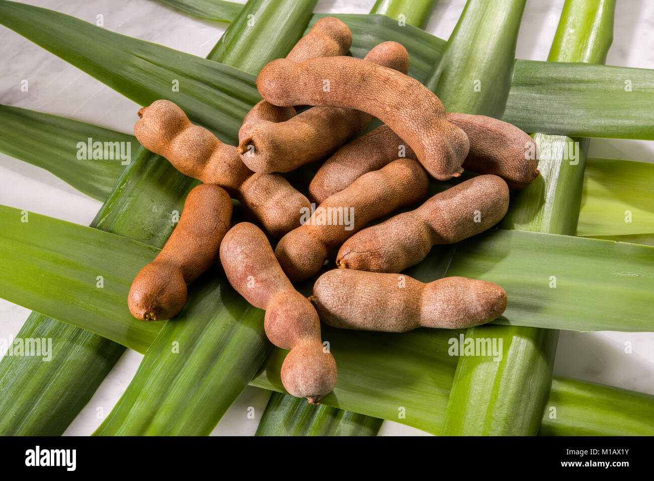 Tamarind fruit tree tamarindus indica Banque de photographies et d ...