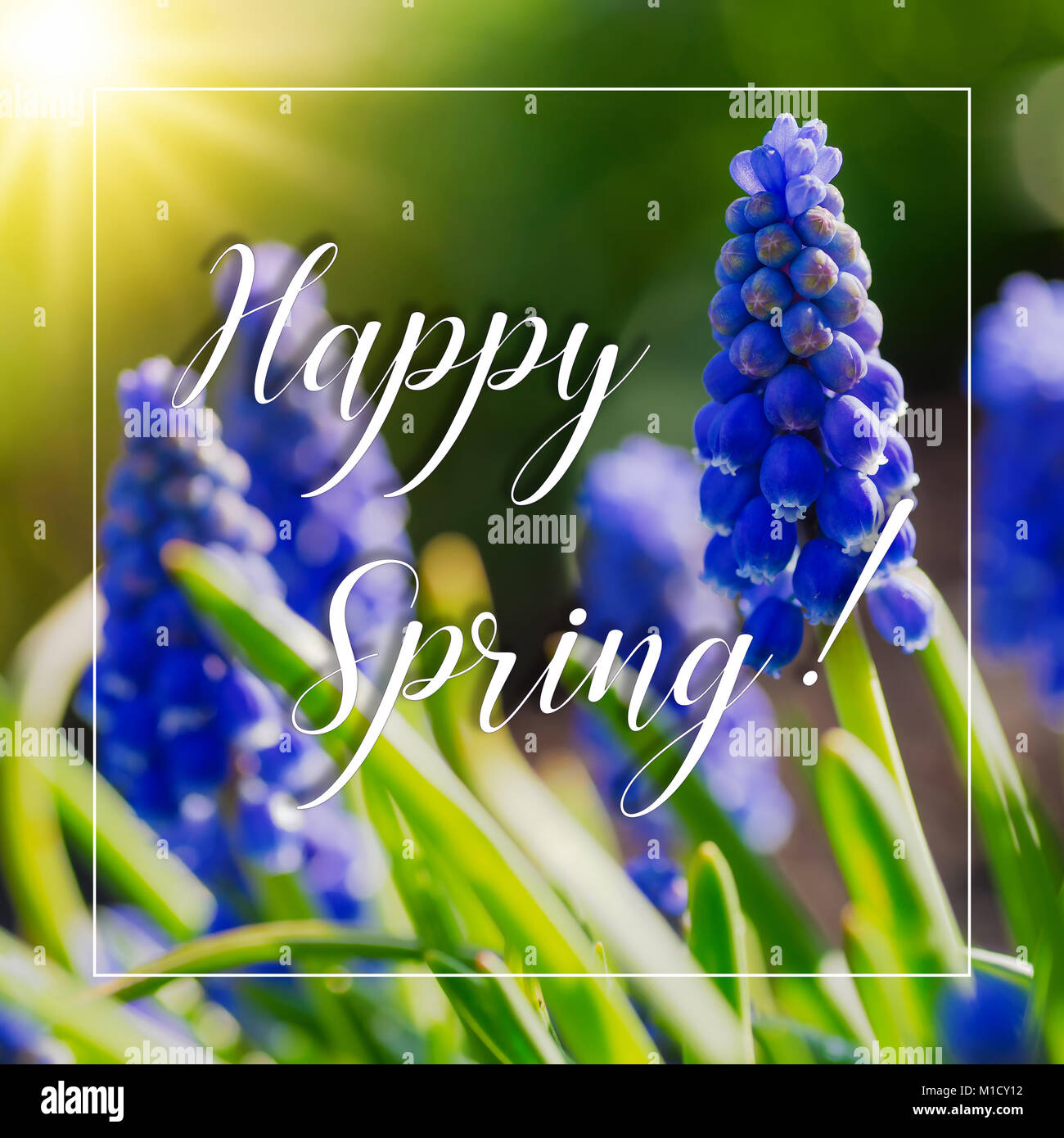 Citation de printemps Banque de photographies et d’images à haute ...