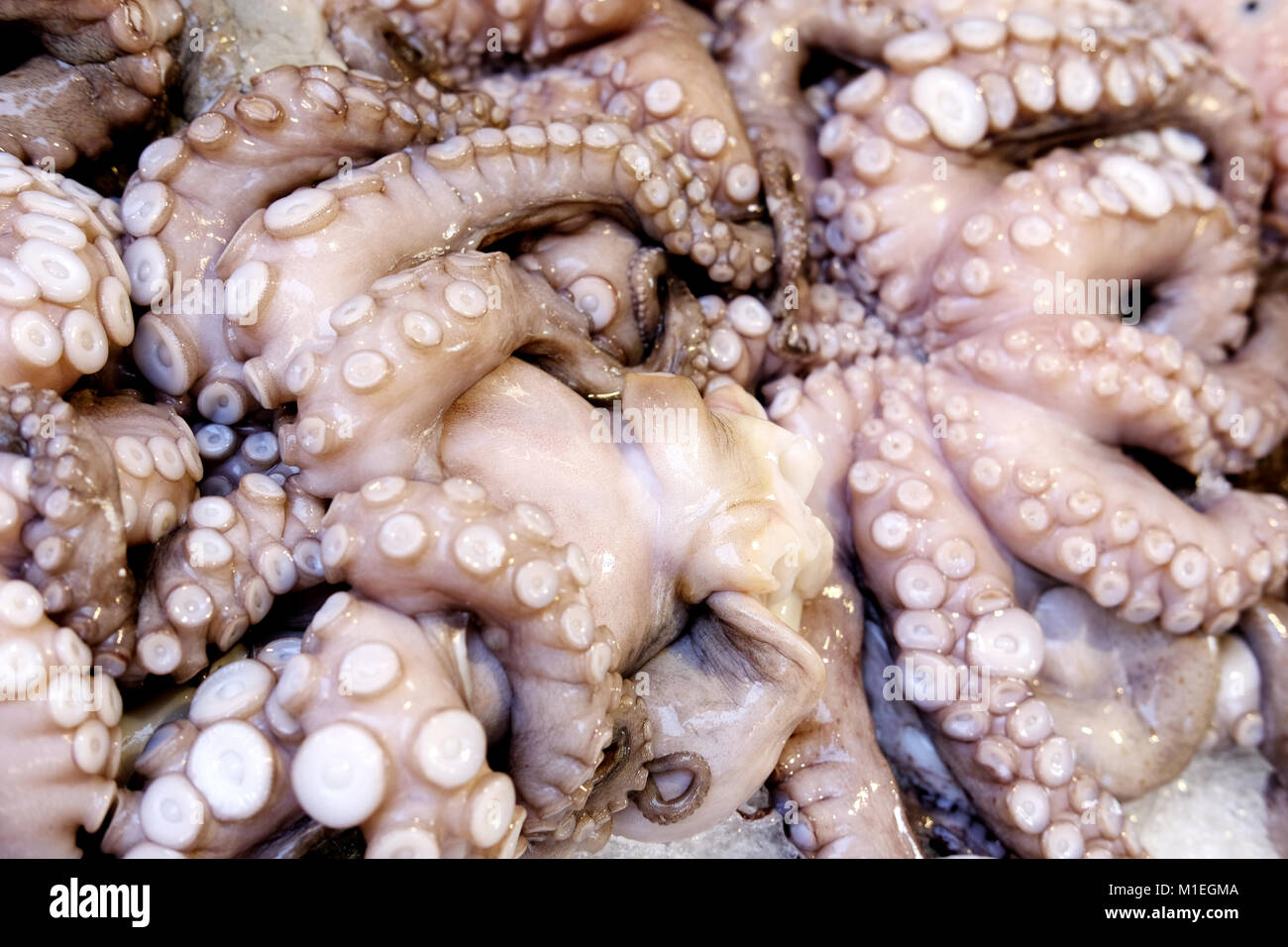 Recipe with octopus Banque de photographies et d’images à haute ...