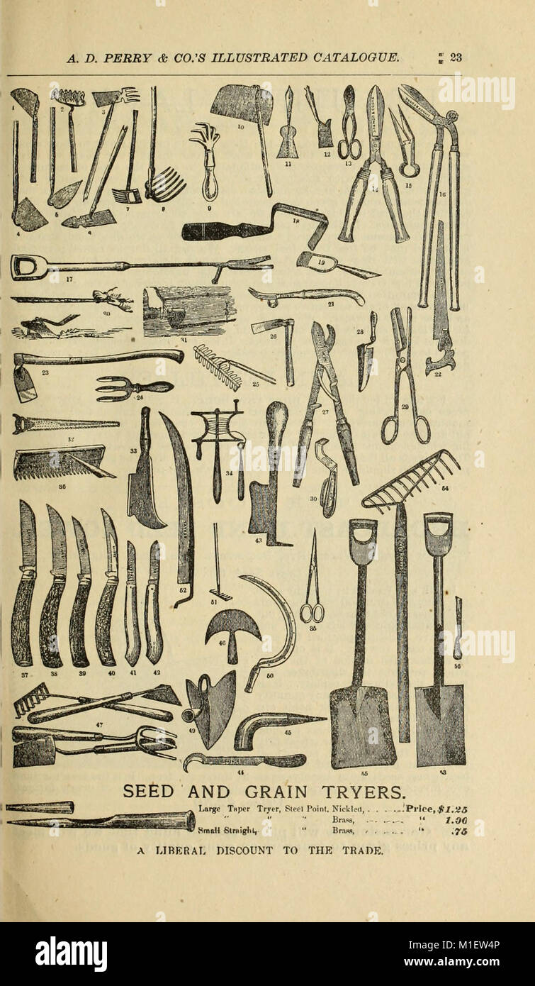 A. D. Perry et Co. vingtième catalogue annuel du champ de fleurs ...