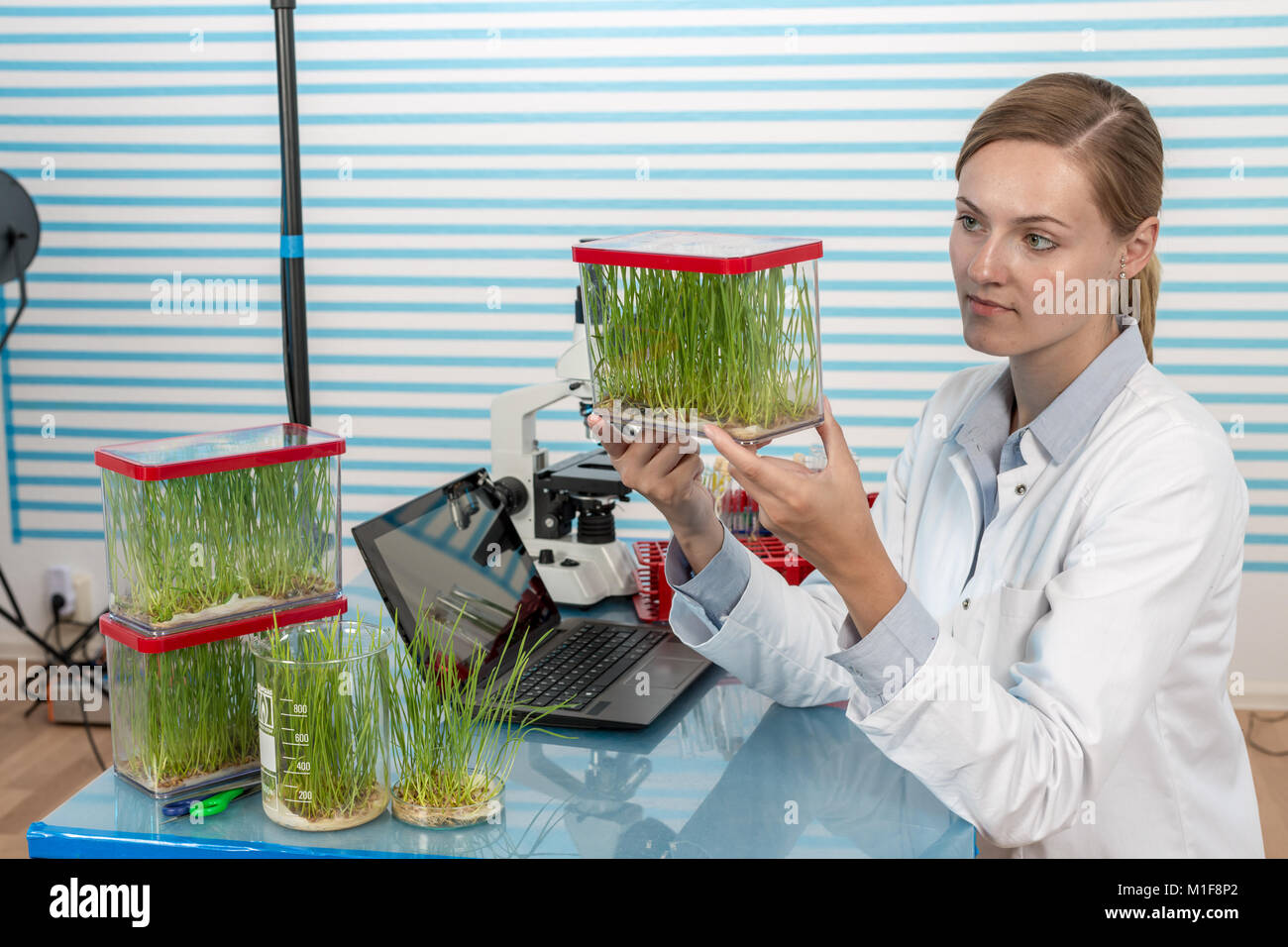 Scientifique avec plante verte dans un laboratoire moderne. femme étude ...