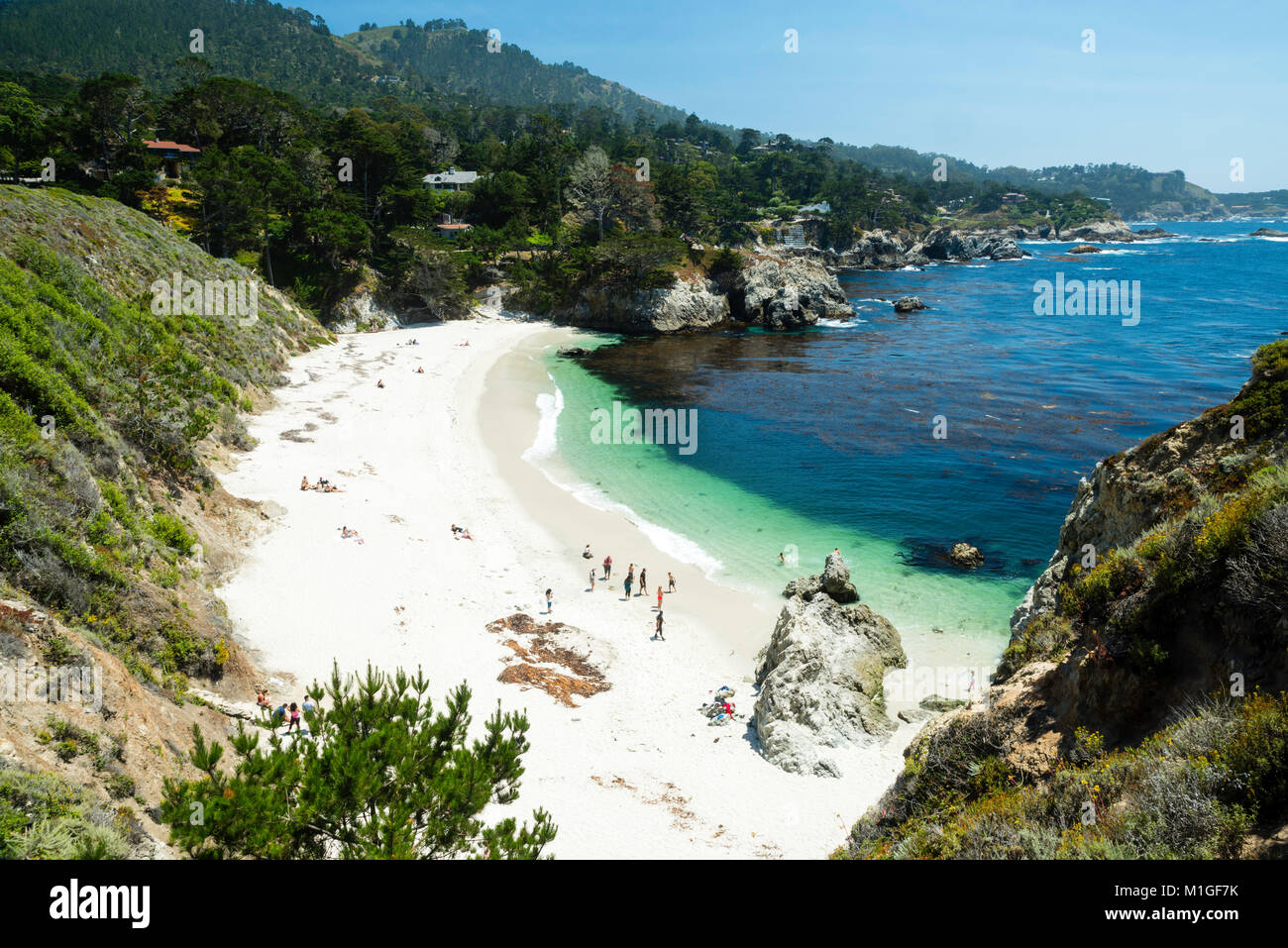 Point lobos state park Banque de photographies et d’images à haute ...