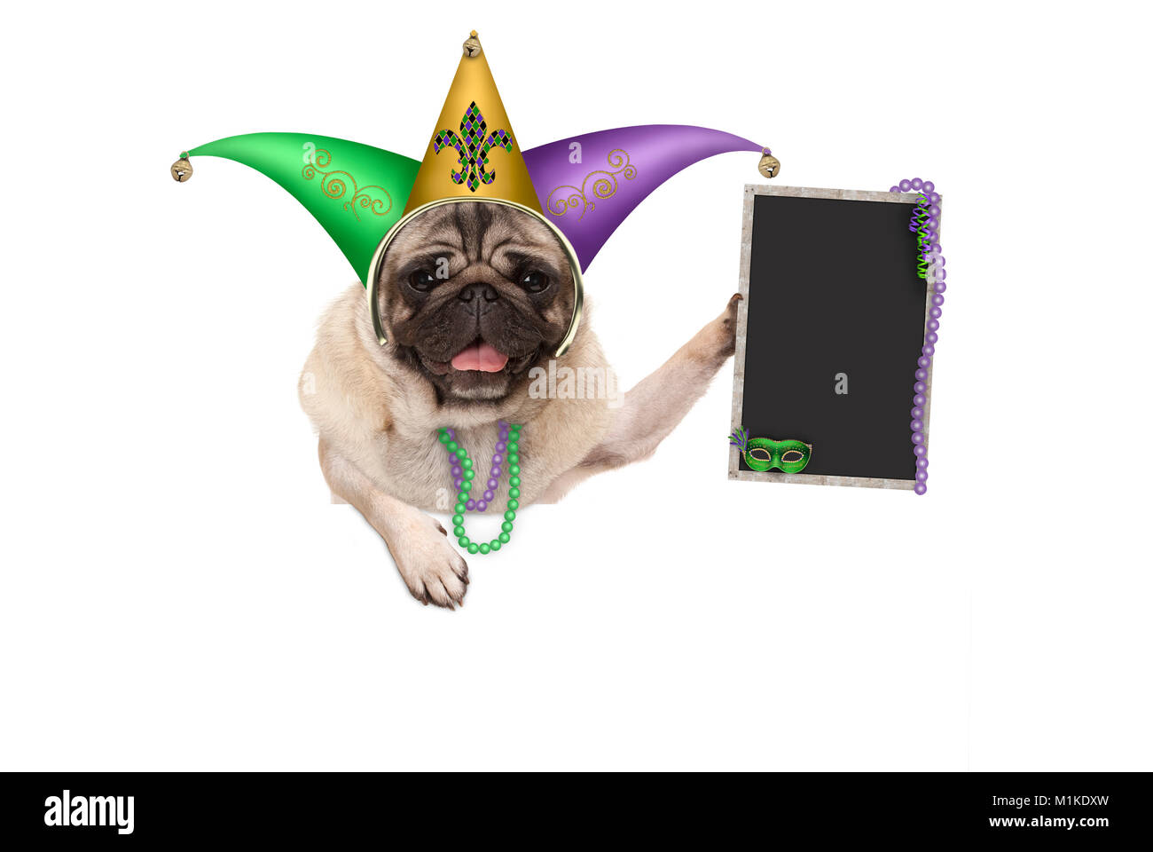 Chien mardi gras Banque de photographies et d’images à haute résolution ...