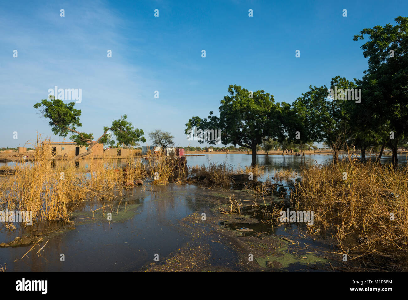 Chari river Banque de photographies et d’images à haute résolution - Alamy