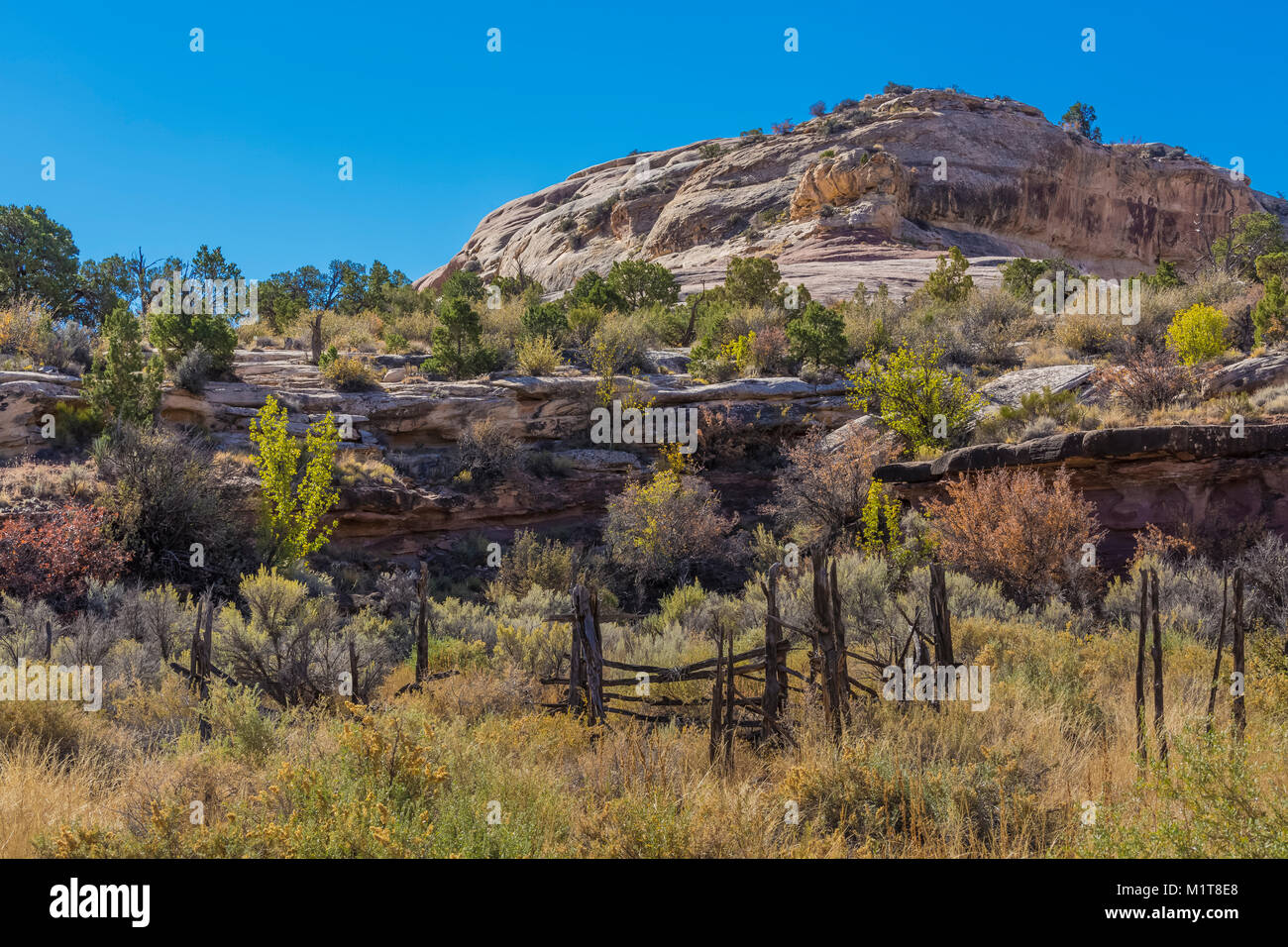 En bois ancien corral près de la Cabane de Kirk historique au sein de ...