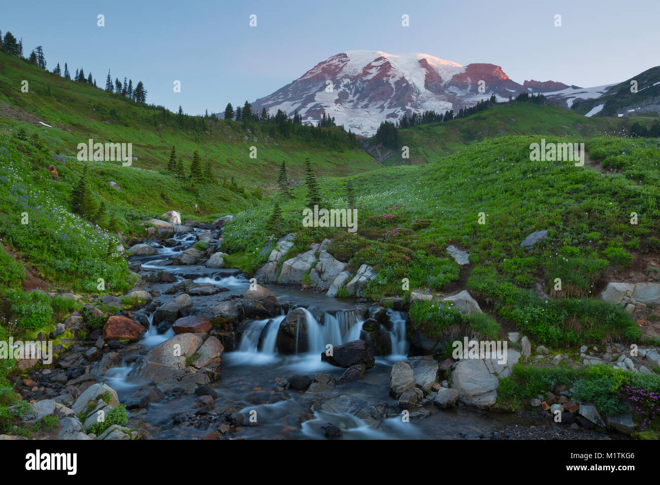 Mont rainier glacier Banque de photographies et d’images à haute ...