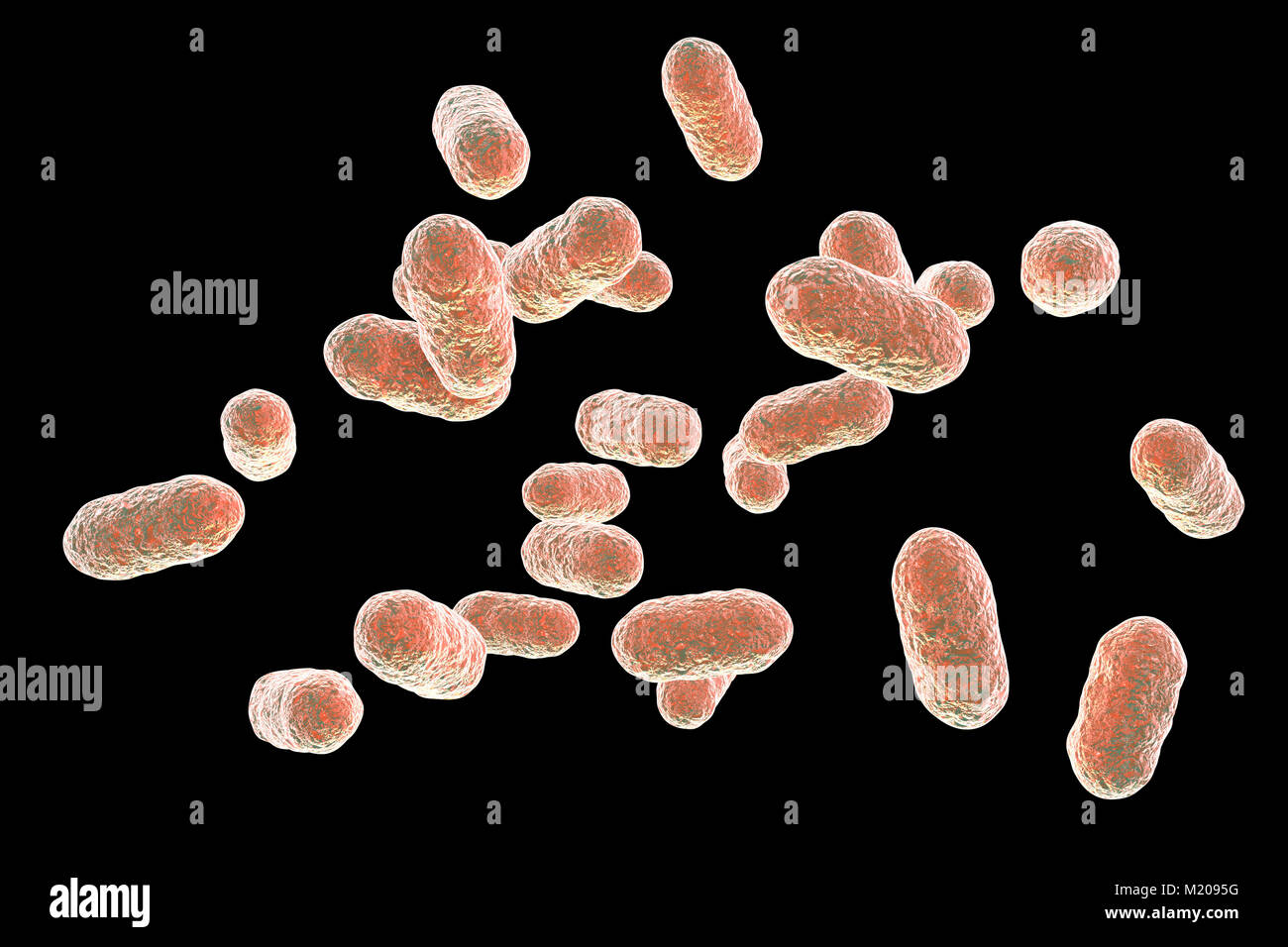 Microbiote buccal Banque de photographies et d’images à haute ...