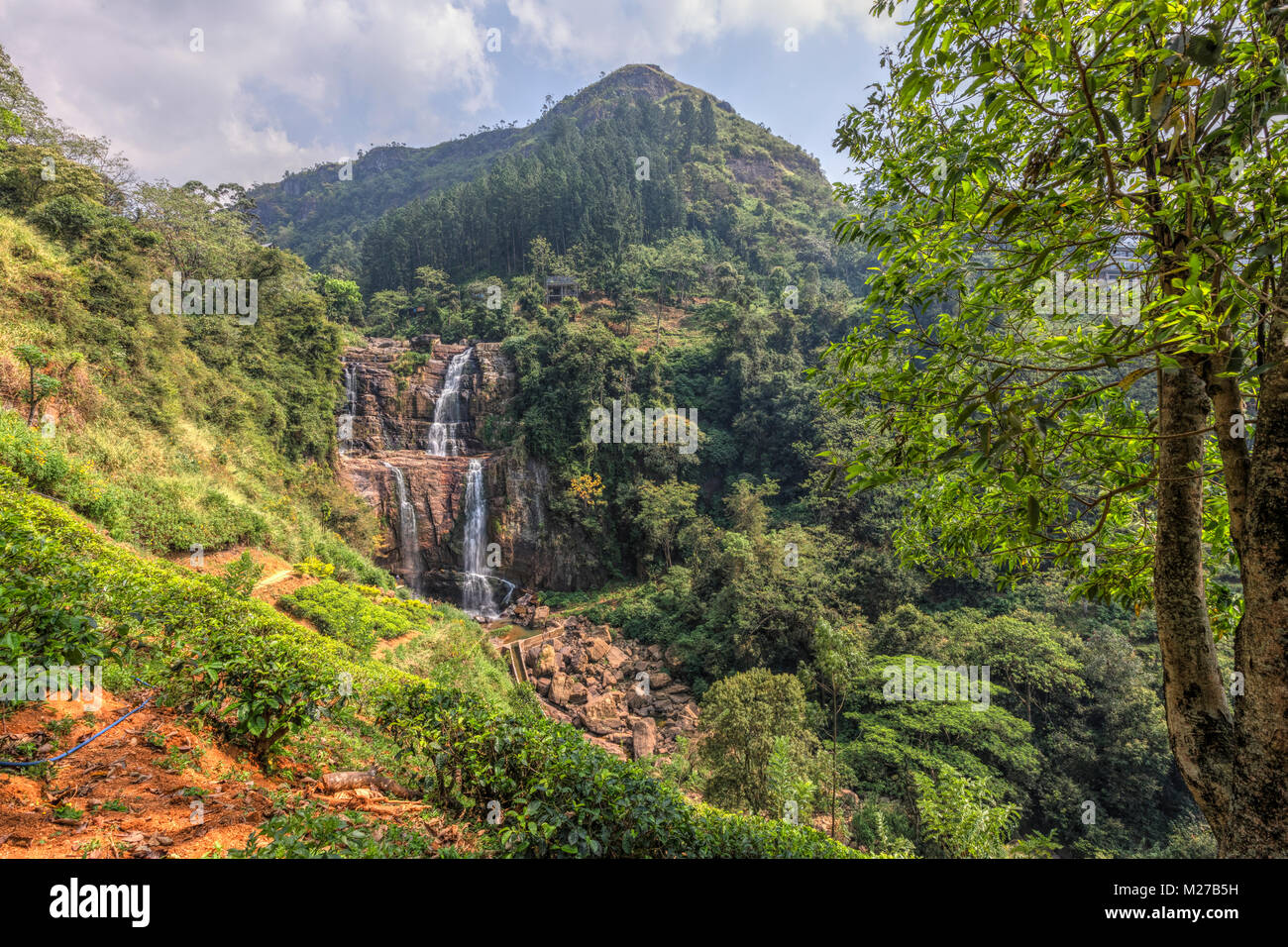 Ramboda oya river Banque de photographies et d’images à haute ...