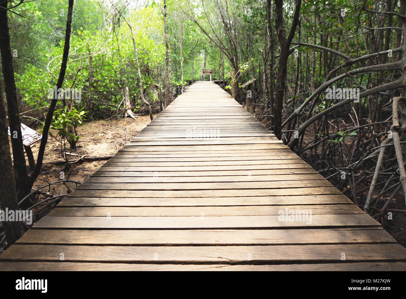 Chemin forestier et pont en bois Banque de photographies et d’images à ...