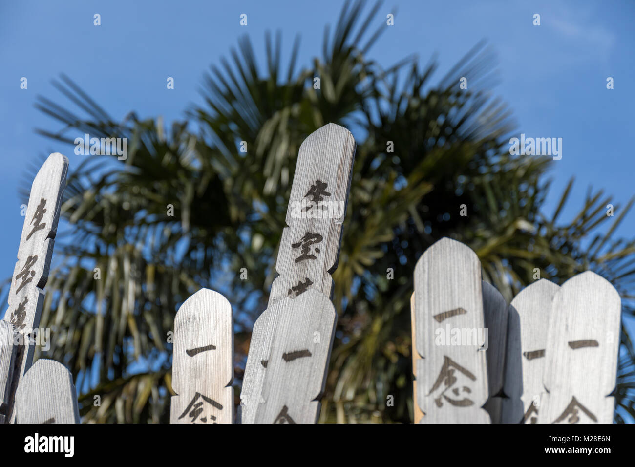Sotoba dans un cimetière de Tokyo, Japon Photo Stock - Alamy