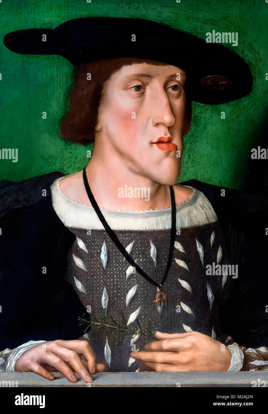 Charles v Banque de photographies et d’images à haute résolution - Alamy