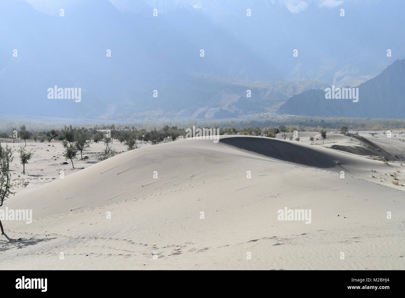 Désert froid Banque de photographies et d’images à haute résolution - Alamy