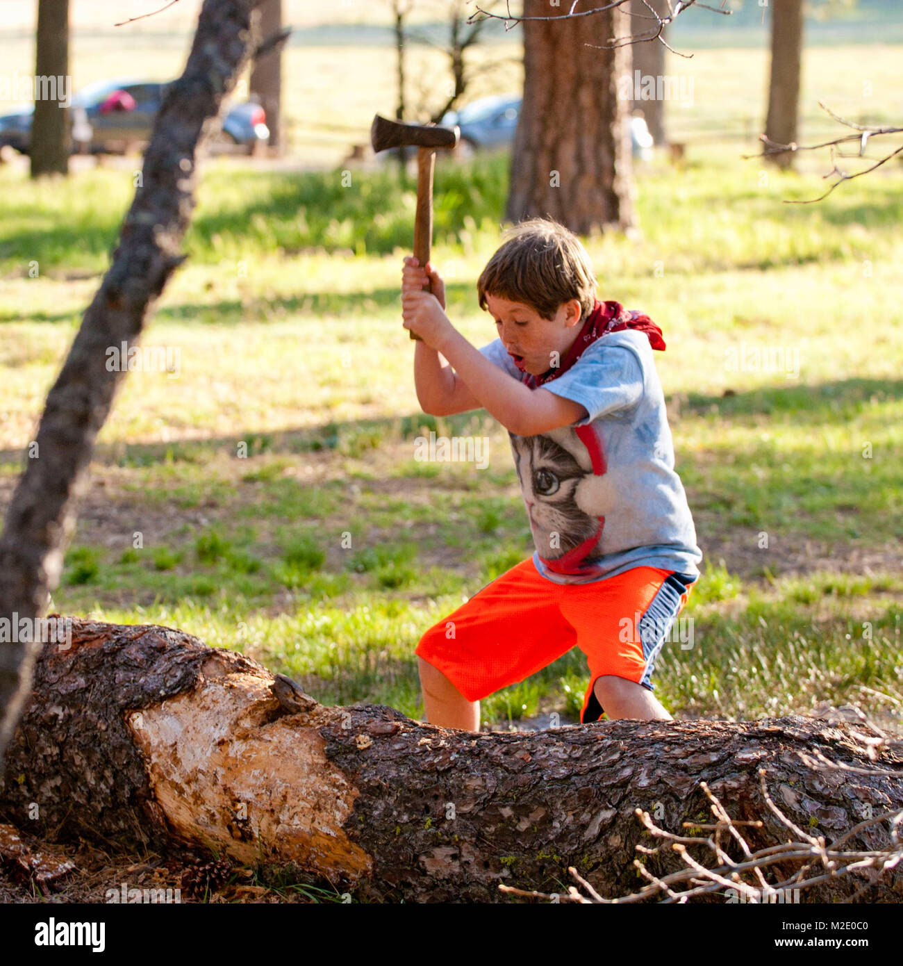 Chopping log Banque de photographies et d’images à haute résolution - Alamy