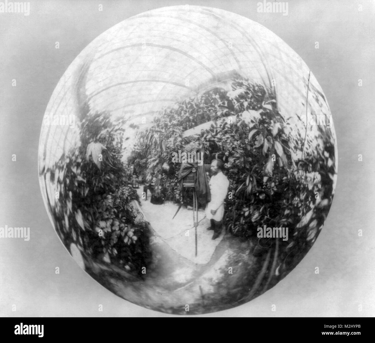 Autoportrait photographique Banque de photographies et d’images à haute ...