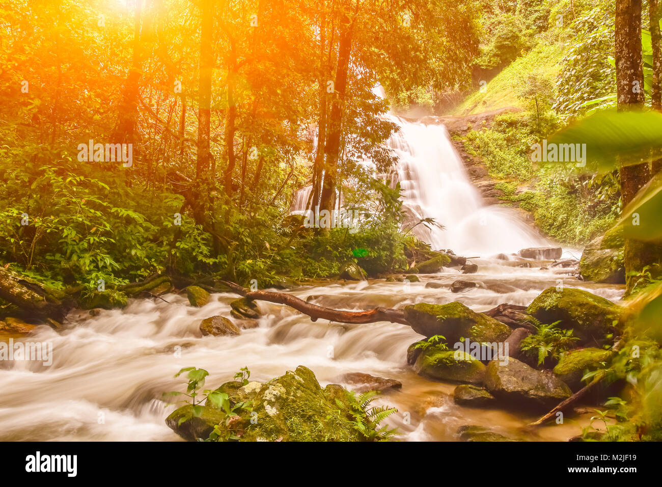 Huai Sai Lueang Cascade aux reflets de lumière dans le parc national de ...