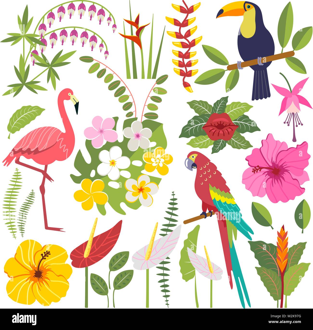 Oiseaux des tropiques Banque d'images vectorielles - Alamy