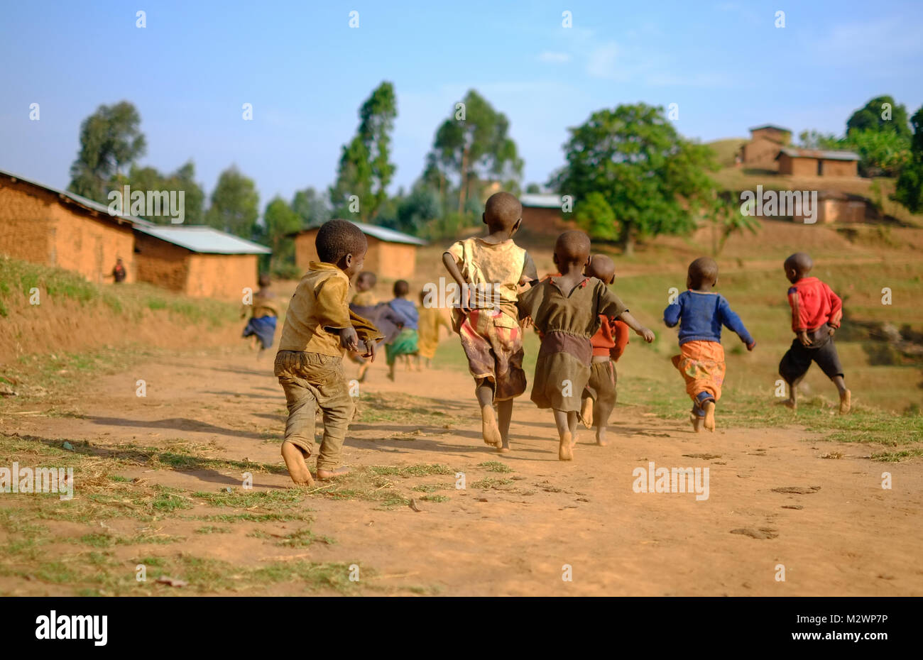 Pygmy Village Photos & Pygmy Village Images - Alamy