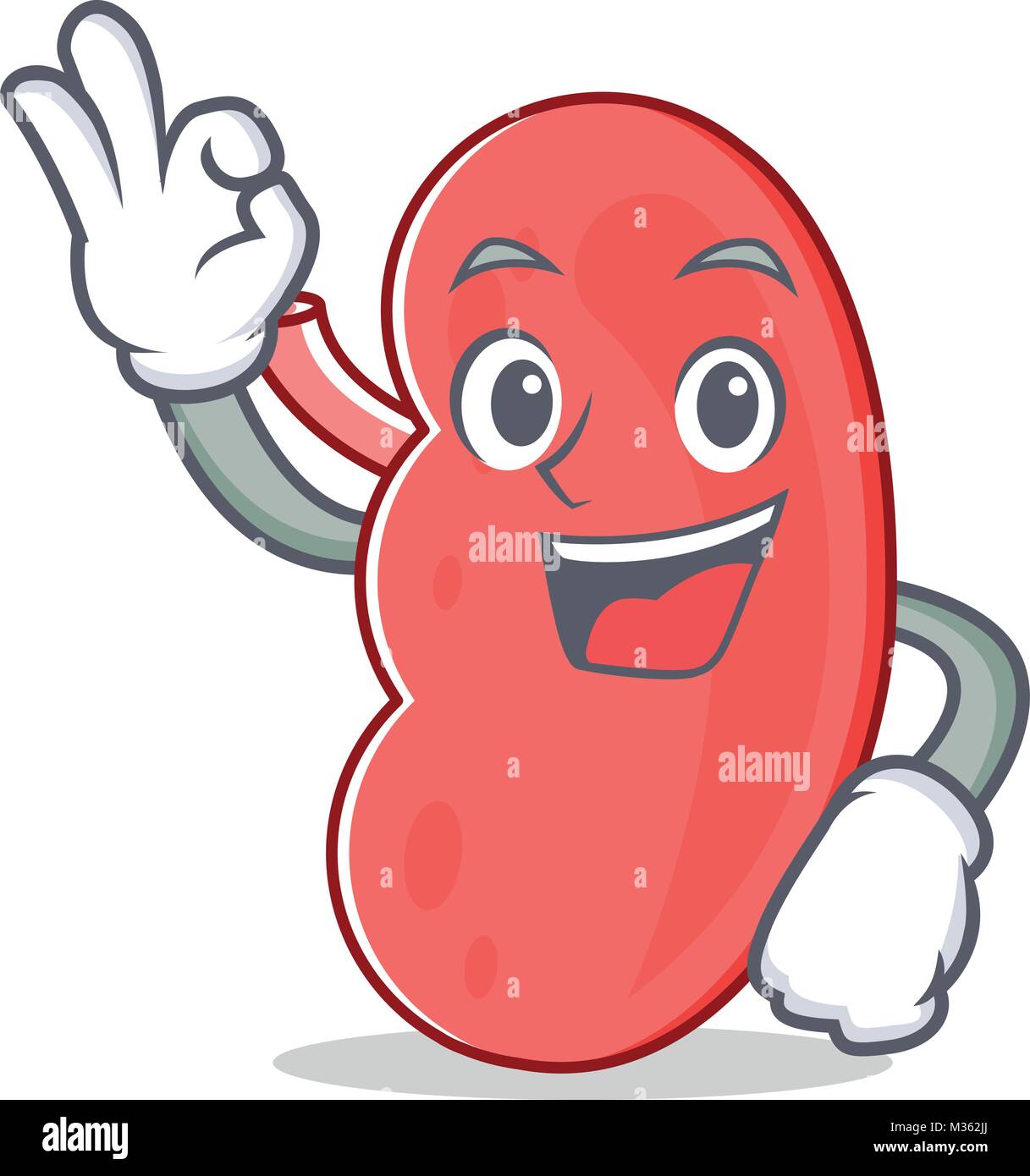 Rein humain droit Banque d'images vectorielles - Alamy