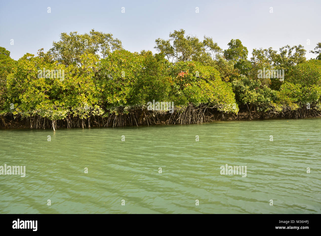 Delta des sundarbans Banque de photographies et d’images à haute ...