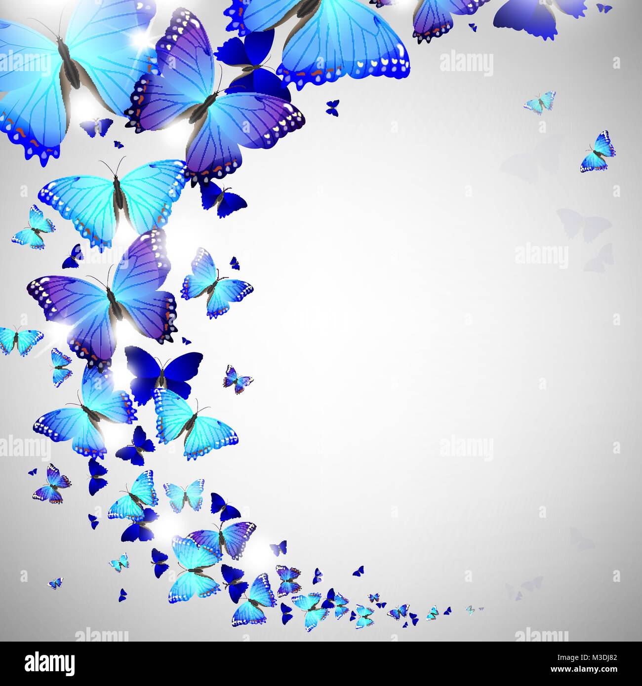 Papillon bleu turquoise Banque d'images vectorielles - Alamy