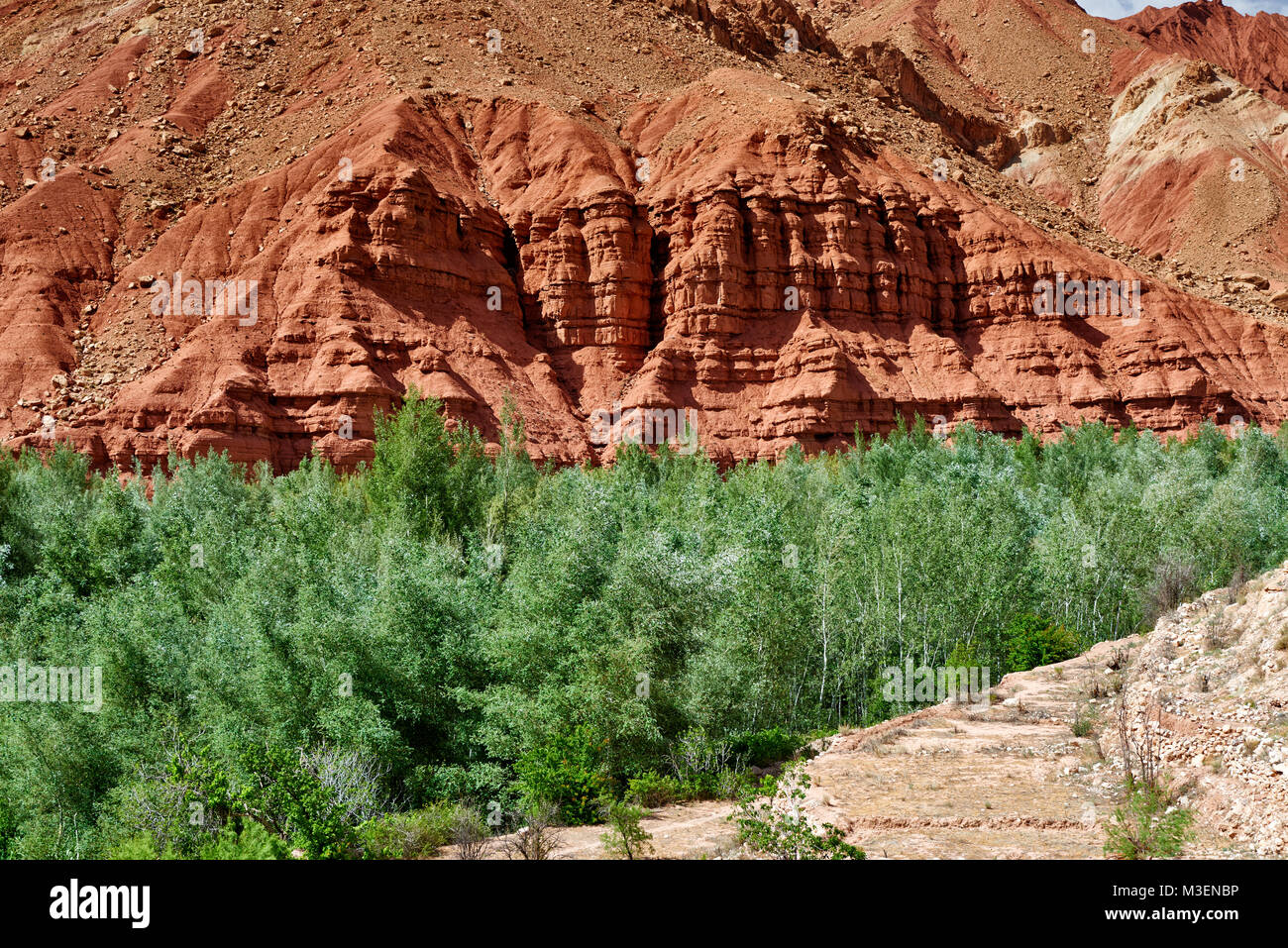 Paysage de montagne dans la vallée des roses ou rose valley, El-Kelâa M ...