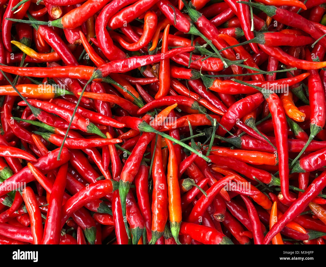 Gros piments rouges Banque de photographies et d’images à haute ...