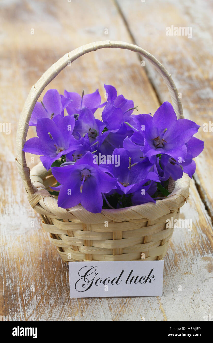 Bonne chance avec des fleurs Banque de photographies et d’images à ...