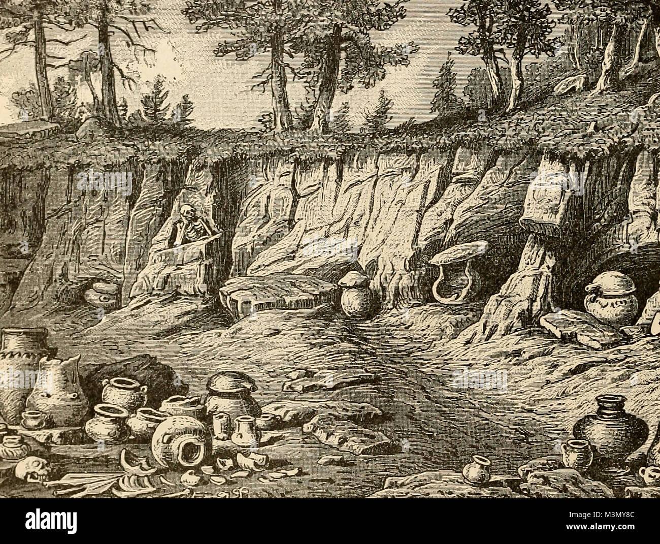 Quaternary period Banque de photographies et d’images à haute ...