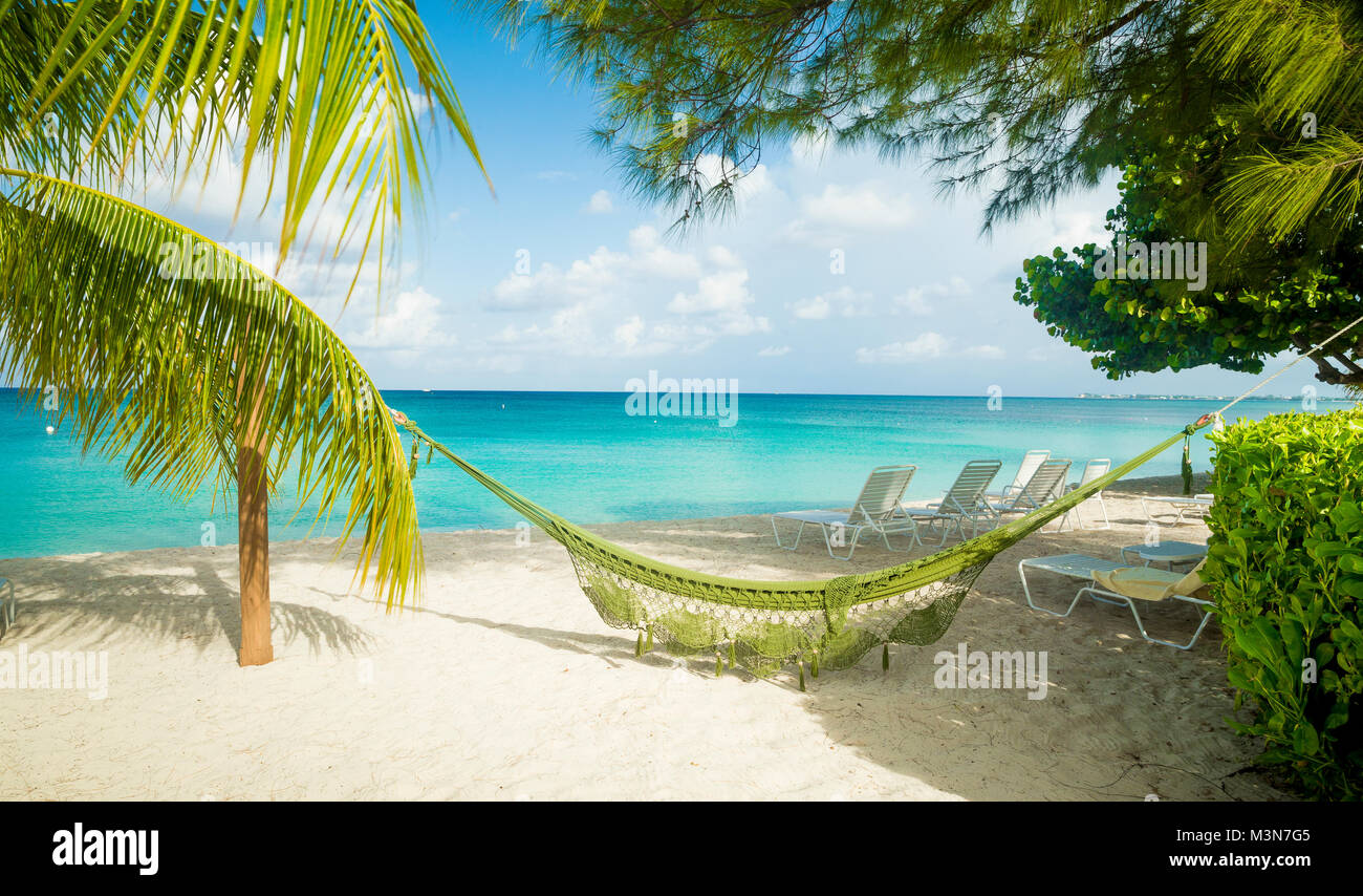 Hamac palmier retraite Banque de photographies et d’images à haute ...