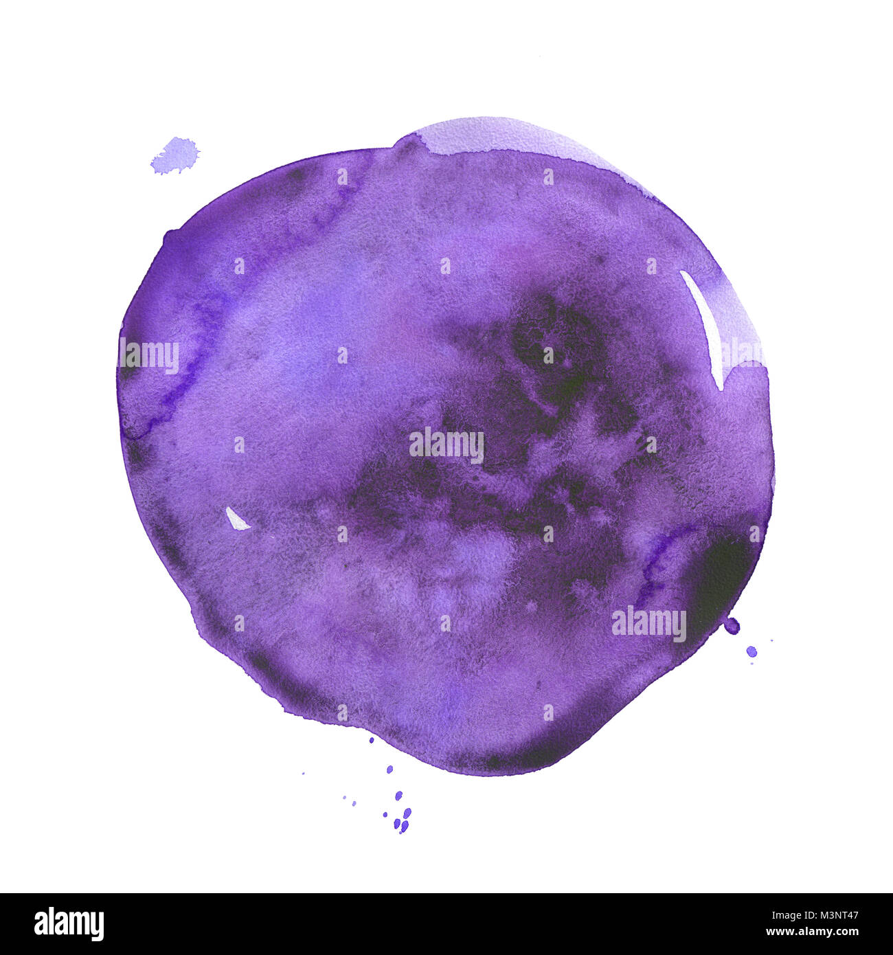 Eggplant watercolor painting Banque de photographies et d’images à ...