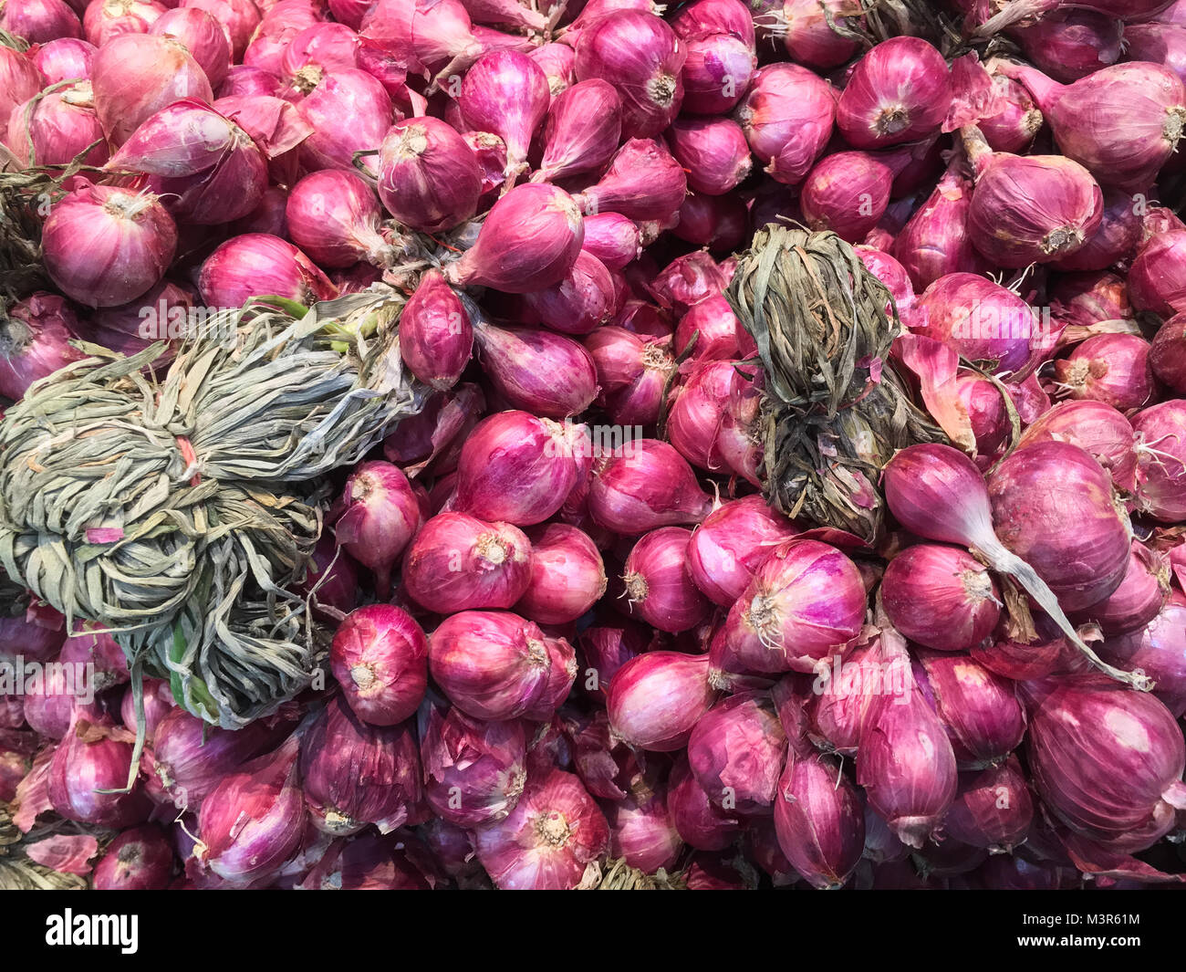 échalote sèche Banque de photographies et d’images à haute résolution ...