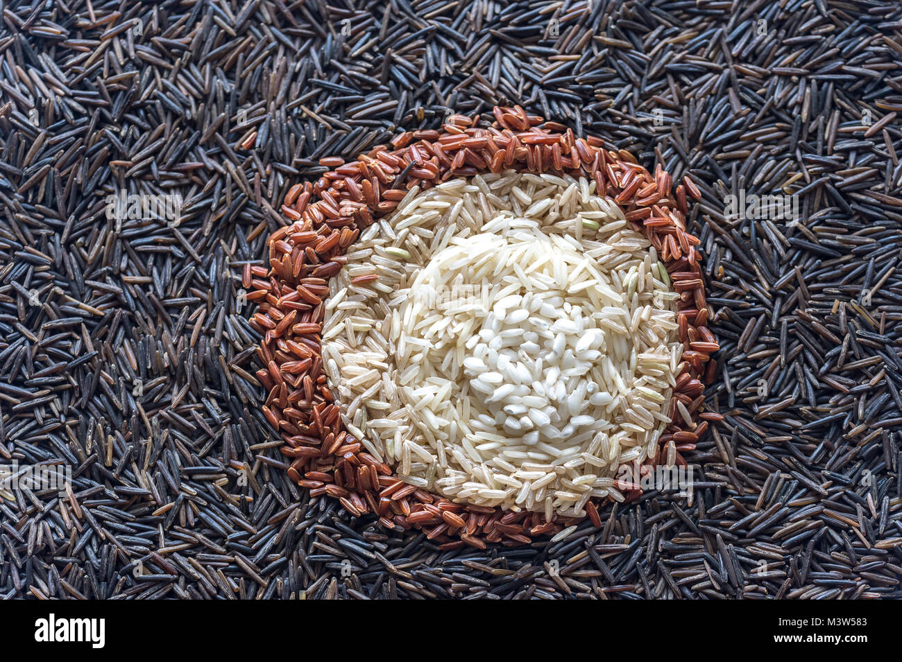 Différents types de riz : Vue de dessus Photo Stock - Alamy