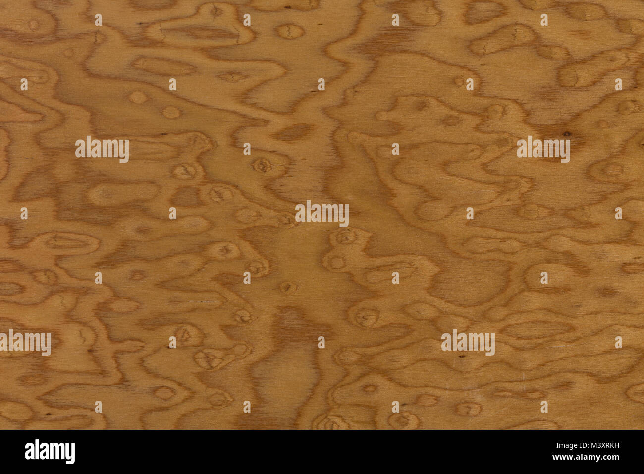 Walnut wood texture Banque de photographies et d’images à haute ...
