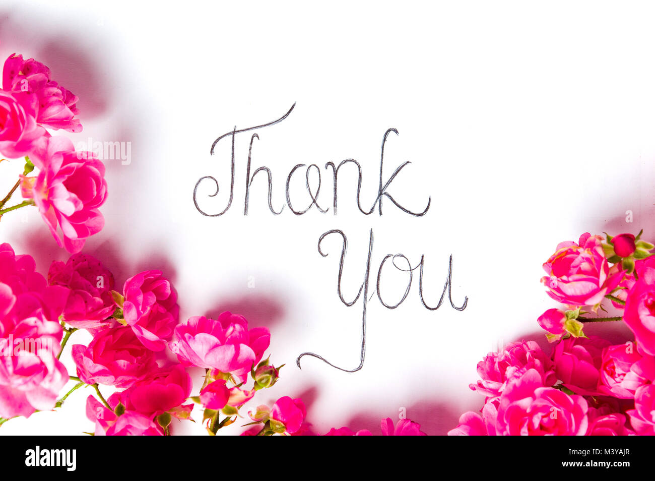 Merci remarque avec roses roses sur papier blanc Photo Stock - Alamy
