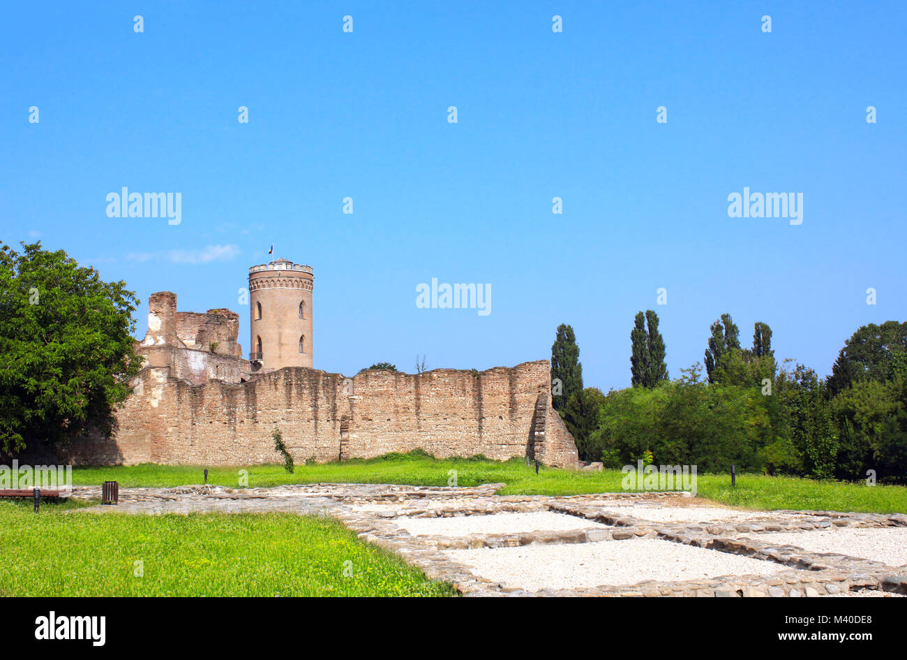 Chindia dracula Banque de photographies et d’images à haute résolution ...