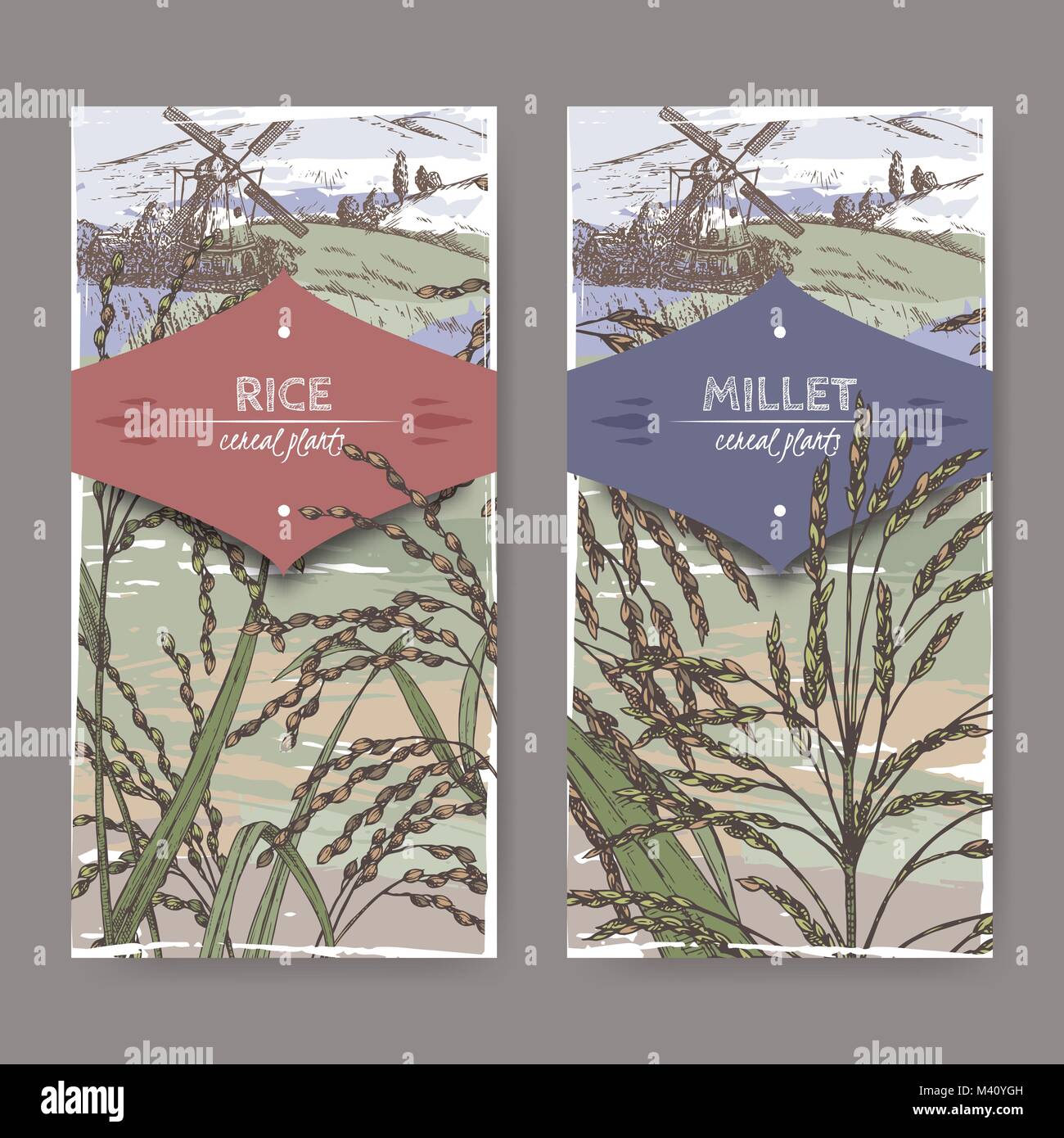 Ensemble de deux étiquettes avec le riz asiatique Oryza sativa et aka ...