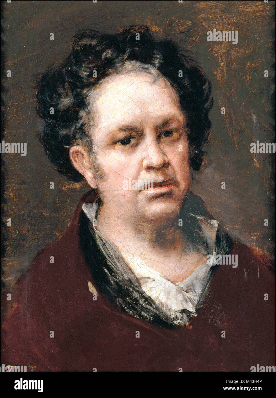 Self portrait goya Banque de photographies et d’images à haute ...