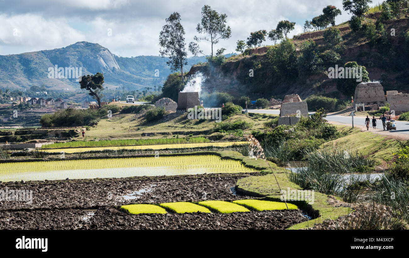 Paysage de rizière madagascar Banque de photographies et d’images à ...
