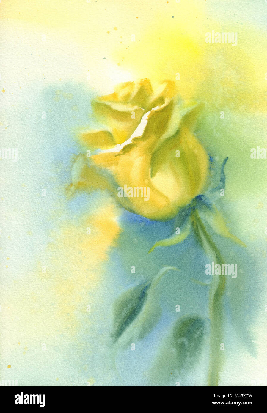 Dessin de rosier Banque de photographies et d’images à haute résolution ...