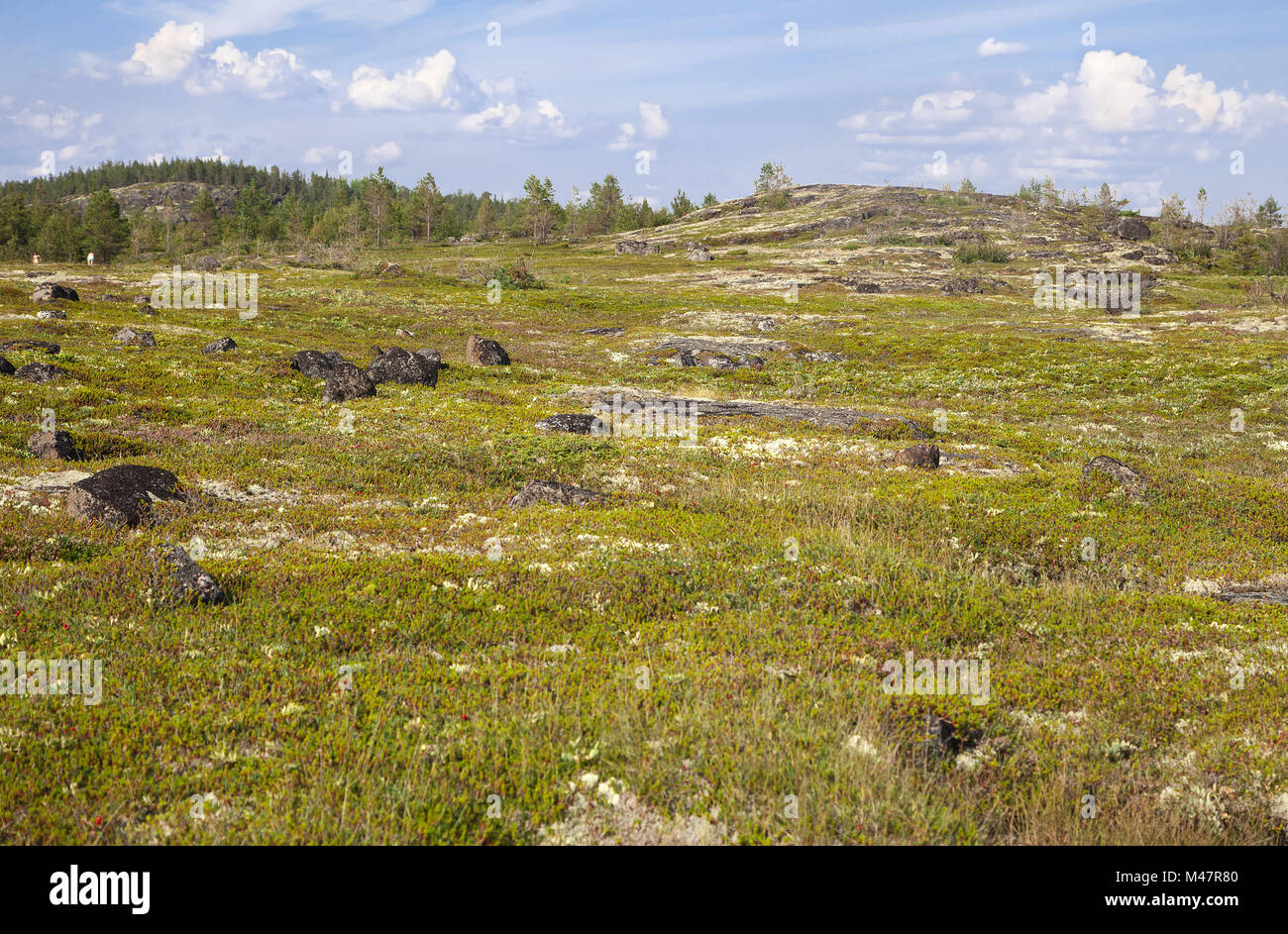 Toundra russe Banque de photographies et d’images à haute résolution ...