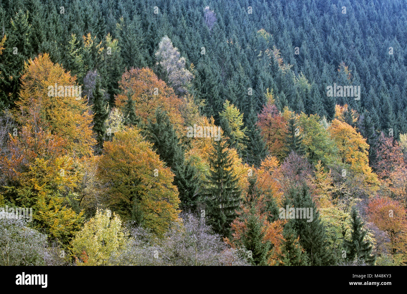 Sieber valley Banque de photographies et d’images à haute résolution ...