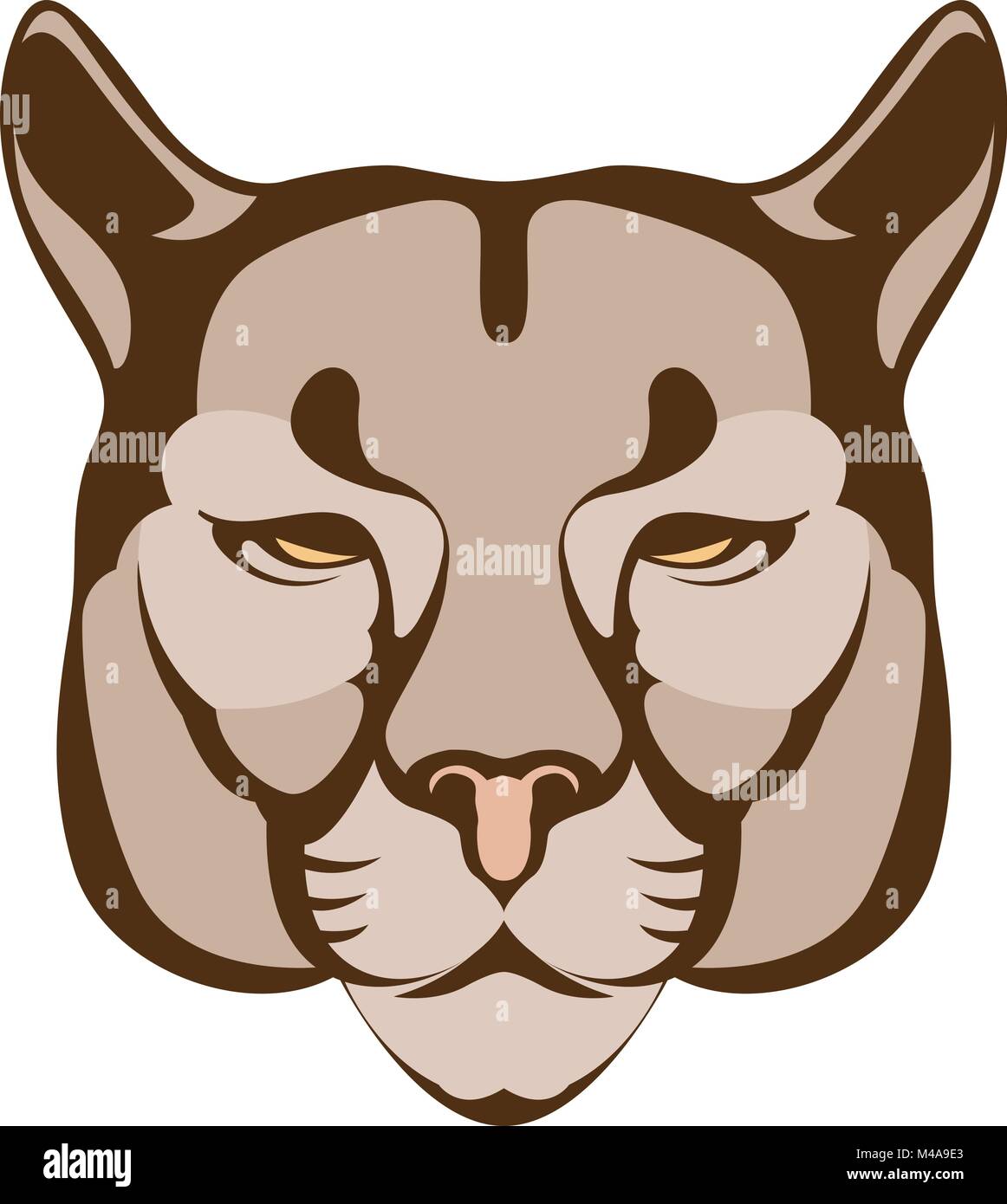 Puma face wildlife Banque d'images vectorielles - Alamy