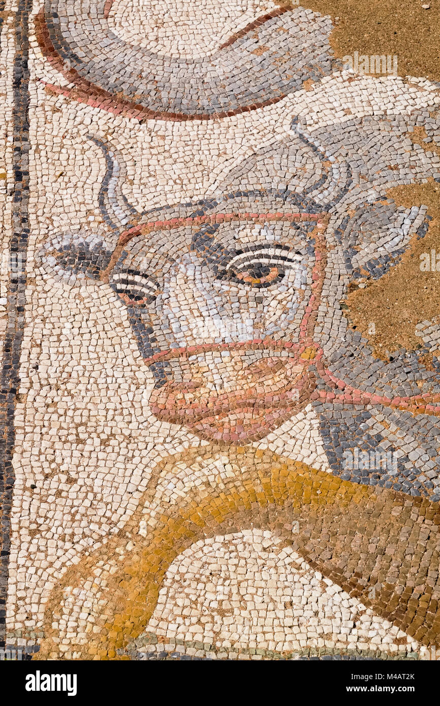 Fragment de mosaïque antique au Parc archéologique de Dion. Piérie ...