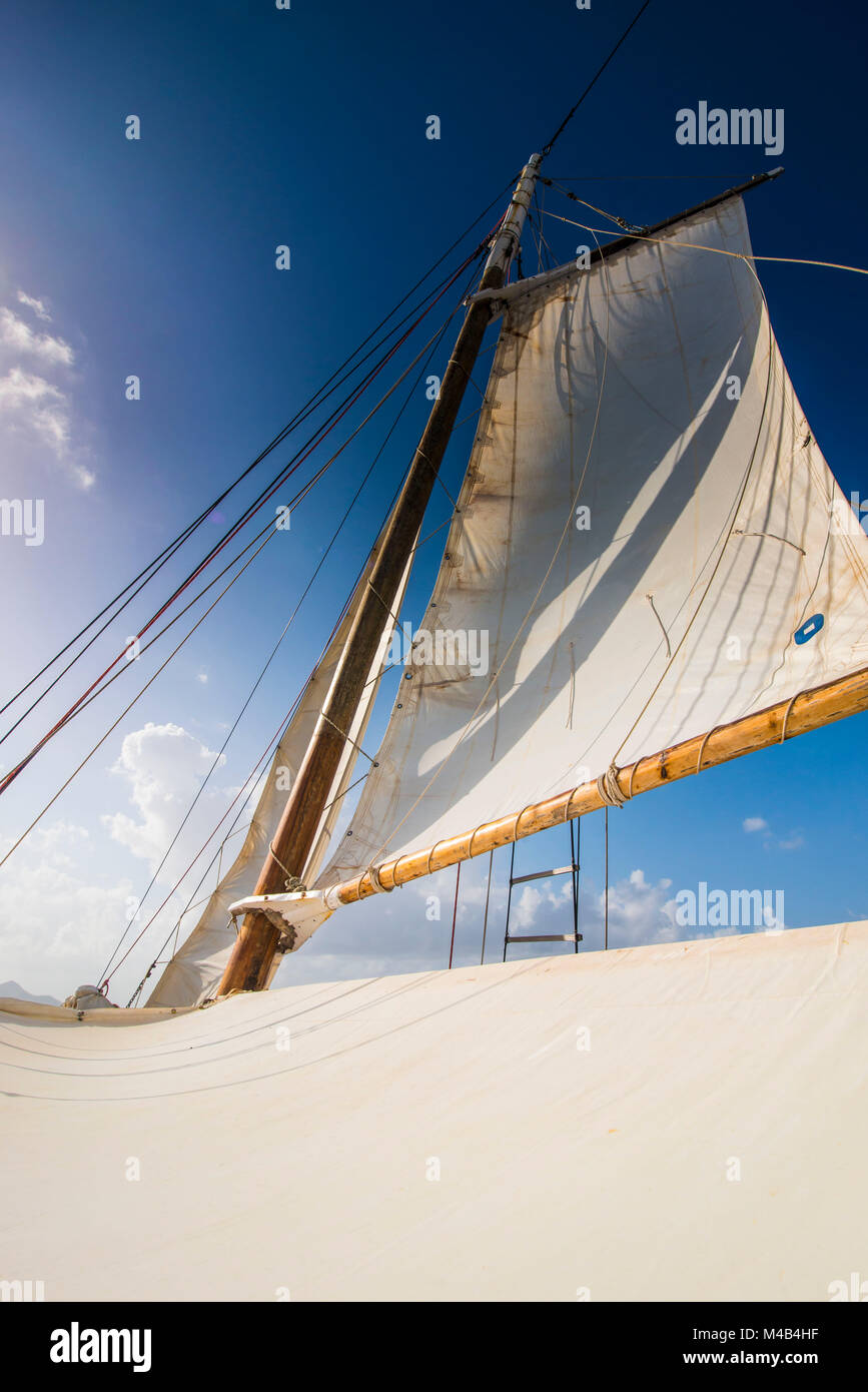 Grand voile d'un bateau à voile historique Scaramouche,illustré dans ...