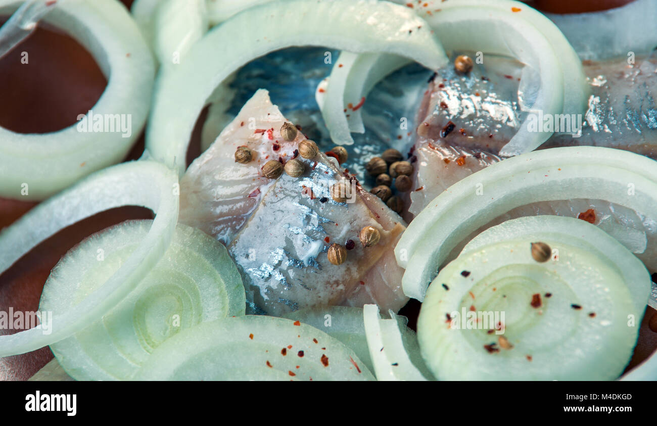 Hareng atlantique Banque de photographies et d’images à haute ...